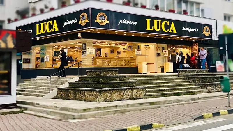 Salamander - Suceava